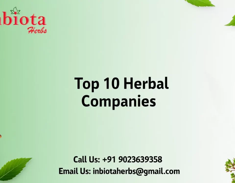 Top 10 Herbal Companies in India 2025 – Trusted by Millions